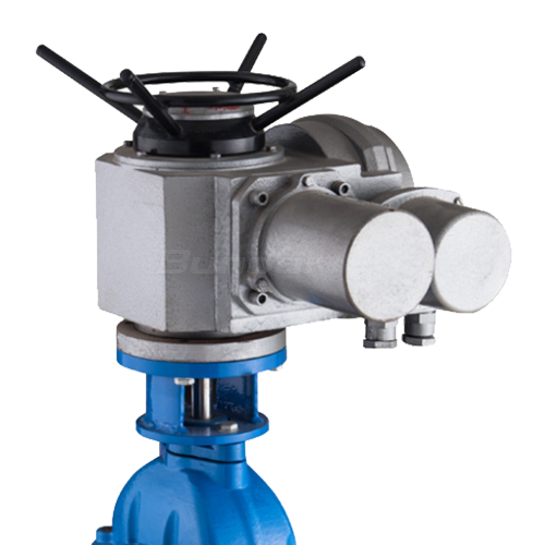 Electric Gate Valve