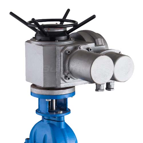 Flange gate valve Z945T-25Q