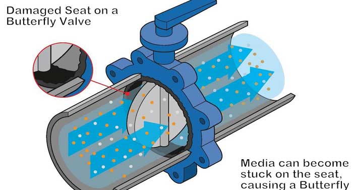 What are the functions of the butterfly valve